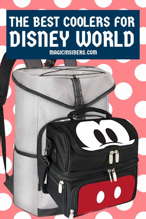 12 Best Coolers for Disney World (2023 Buyer's Guide)