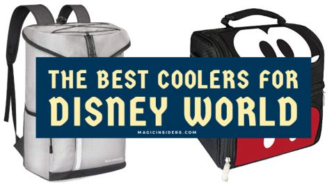 12 Best Coolers for Disney World (2023 Buyer's Guide)